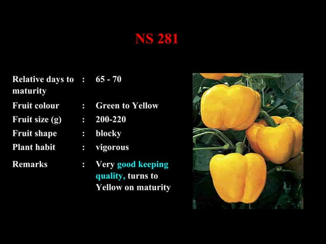 PROTECTED CULTIVATION OF CAPSICUM | PPT | Agriculture | Industries