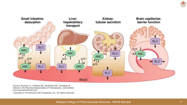 Pharmacology ADME