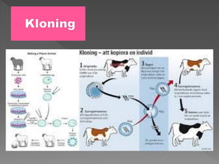 2. perkembang biakan | PDF