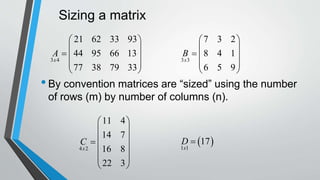 Matrices | PPT