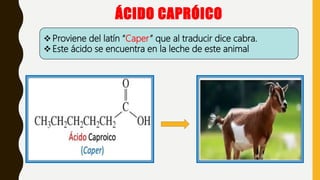 Ácidos orgánicos- Sandra Casa | PPTX