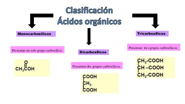 Ácidos orgánicos- Sandra Casa
