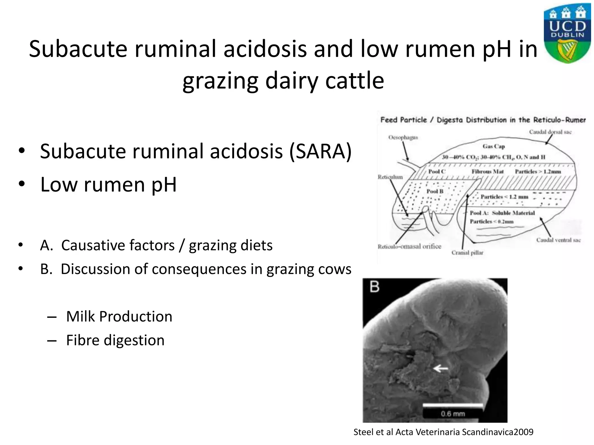 2. Friday - Ruminant Sessions dr finbar mulligan university college ...