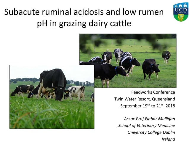 2. Friday - Ruminant Sessions dr finbar mulligan university college ...