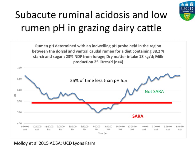 2. Friday - Ruminant Sessions dr finbar mulligan university college ...