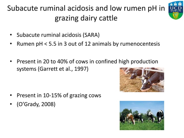 2. Friday - Ruminant Sessions dr finbar mulligan university college ...
