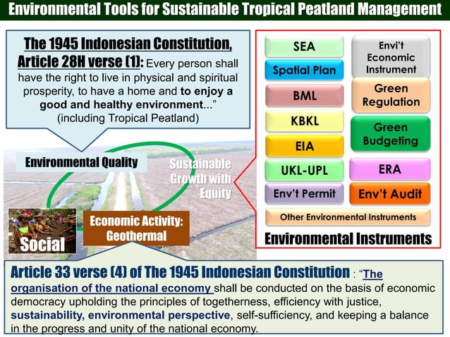 EIA and Environmental Permit: Tools for Sustainable Tropical Peatland ...