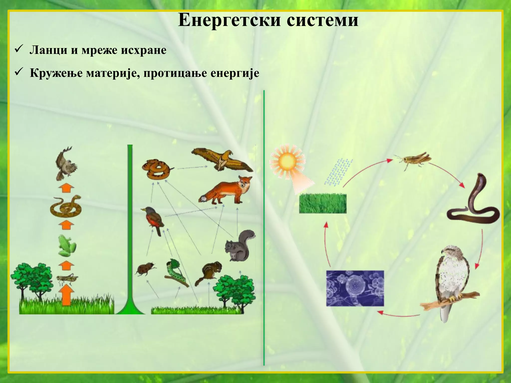 2. Autotrofi i heterotrofi | PPTX