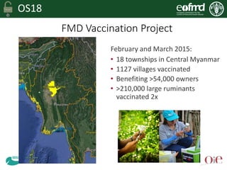 SEACFMD Vaccination Campaign in Central Myanmar | PDF