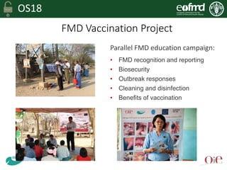 SEACFMD Vaccination Campaign in Central Myanmar | PDF