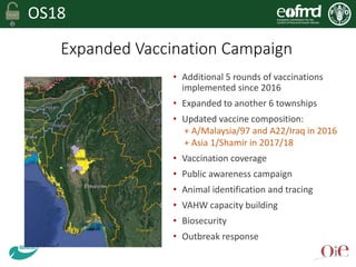 SEACFMD Vaccination Campaign in Central Myanmar | PDF