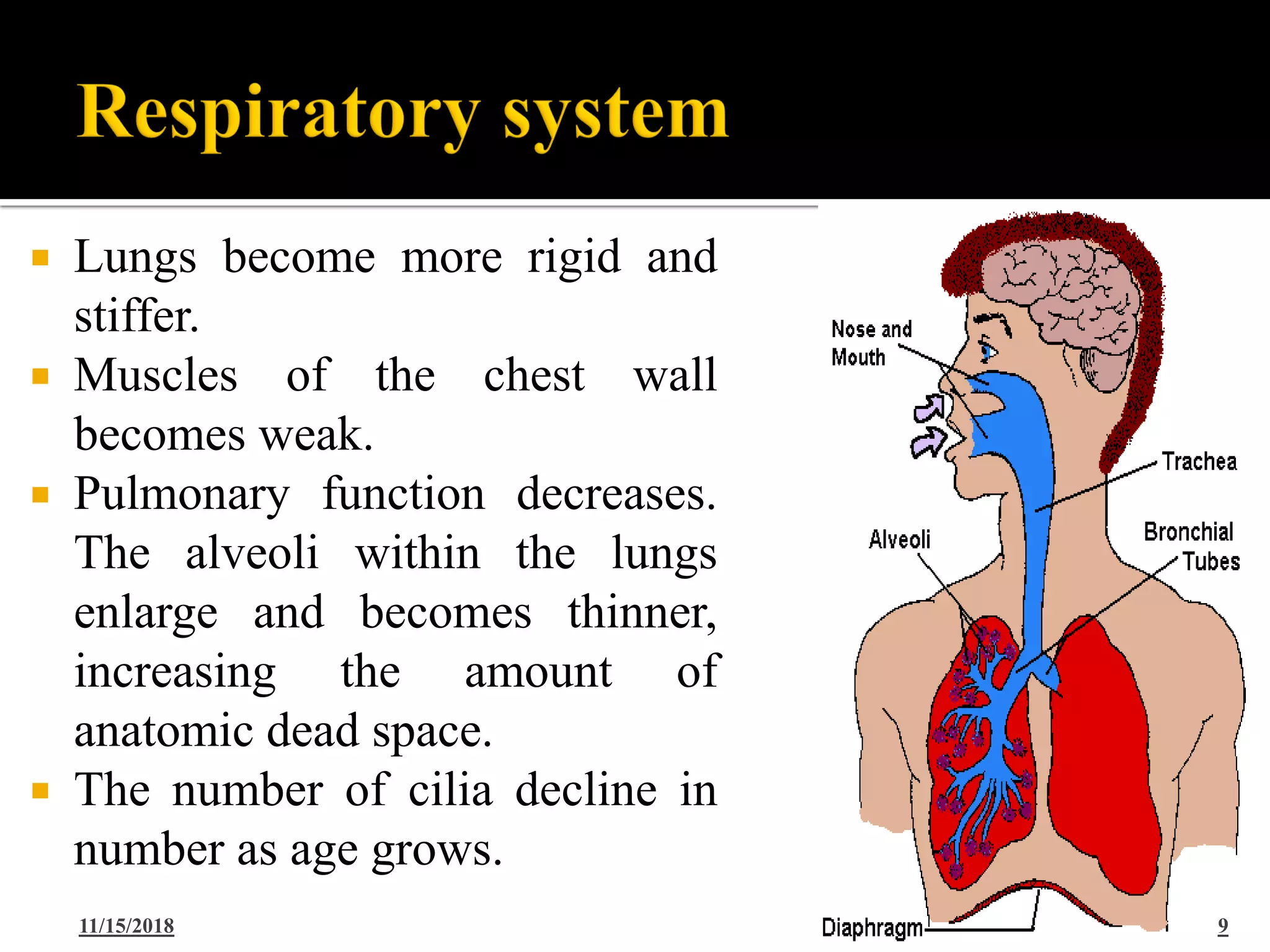 2. physiologic changes in elderly | PDF