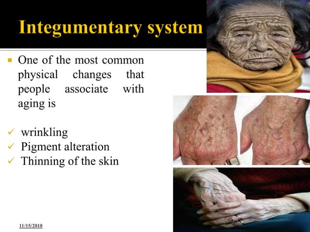 2. physiologic changes in elderly | PDF | Skin and Dermatology ...