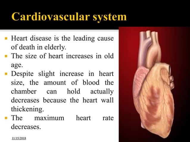 2. physiologic changes in elderly | PDF | Skin and Dermatology | Diseases and Conditions