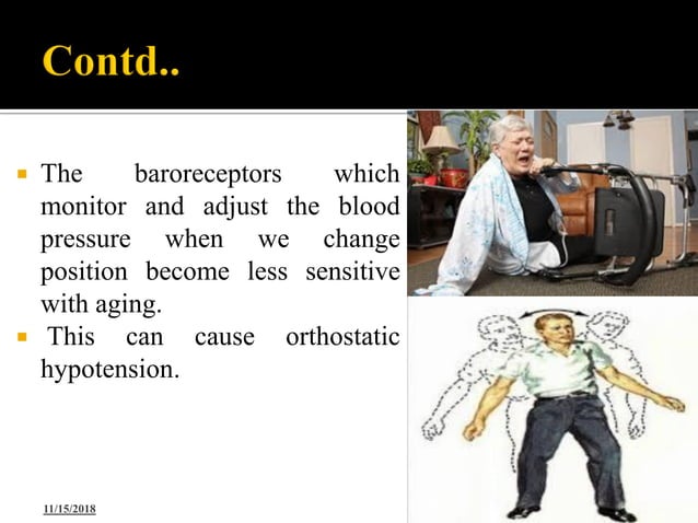 2. physiologic changes in elderly | PDF | Skin and Dermatology | Diseases and Conditions
