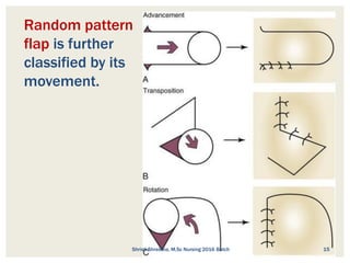 2.1. plastic surgery | PDF