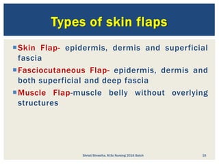 2.1. plastic surgery | PDF