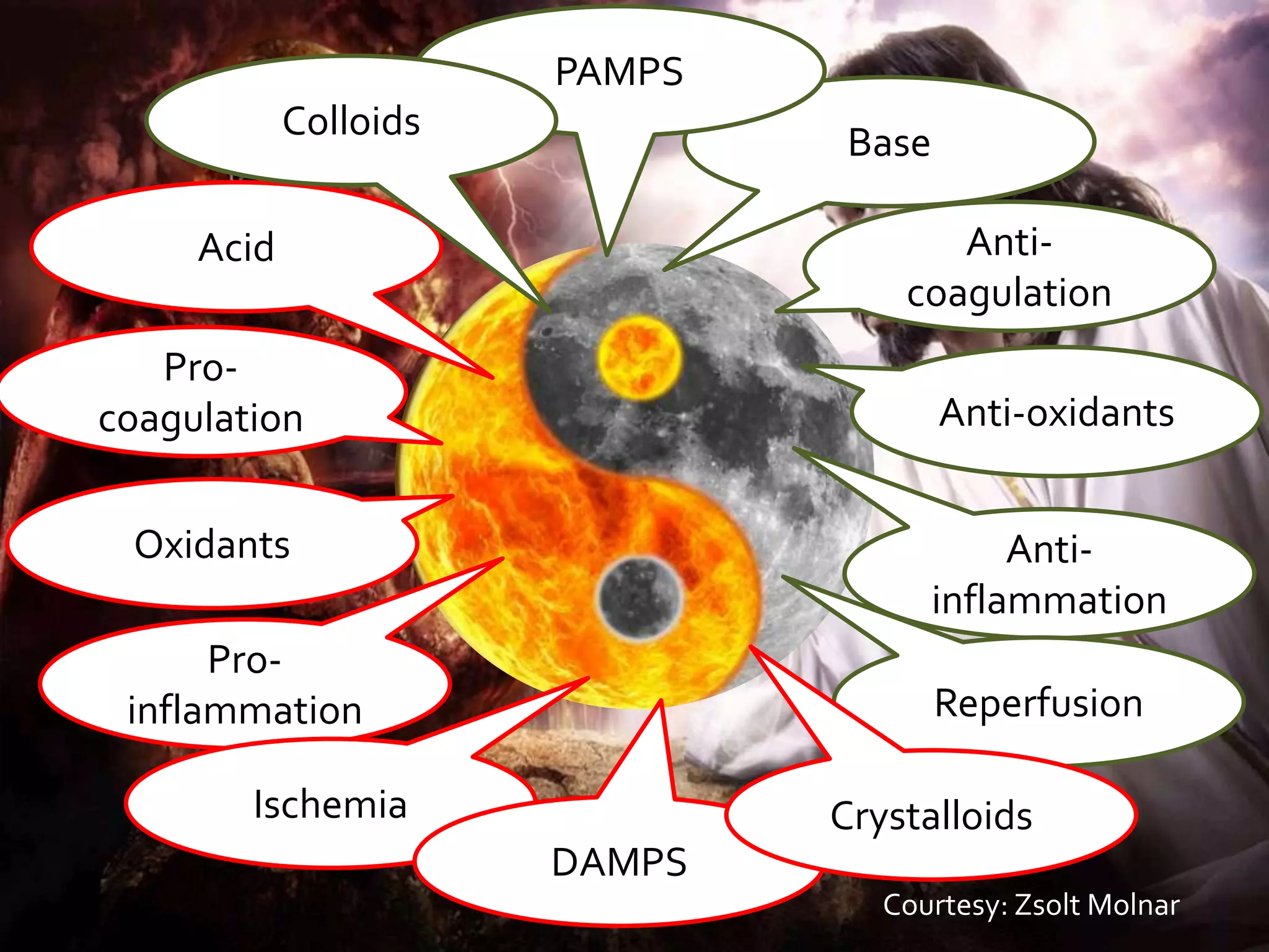 Everything you need to know about fluid therapy – Manu Malbrain (# ...