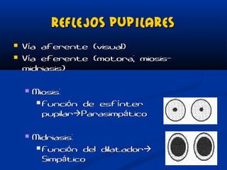 Reflejos pupilares | PPT