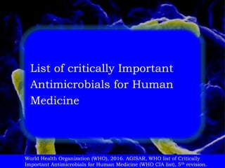 Antimicrobial Resistance and Roles of Different Stakeholders_Prof ...