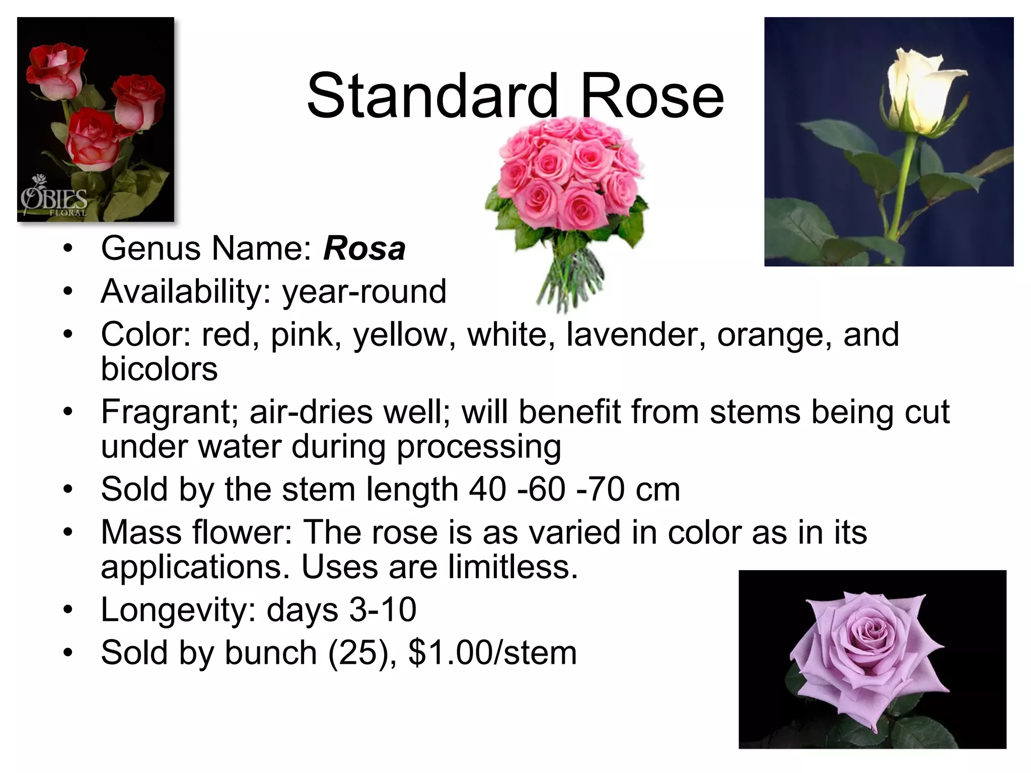 2 18 conditioning & botany | PPT