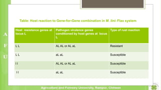 Gene for gene concept Hem raj pant | PPTX