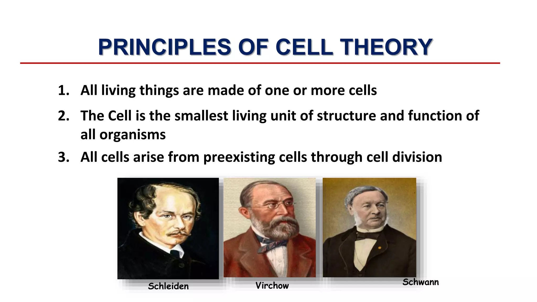 Cell Structure and Function | PPTX