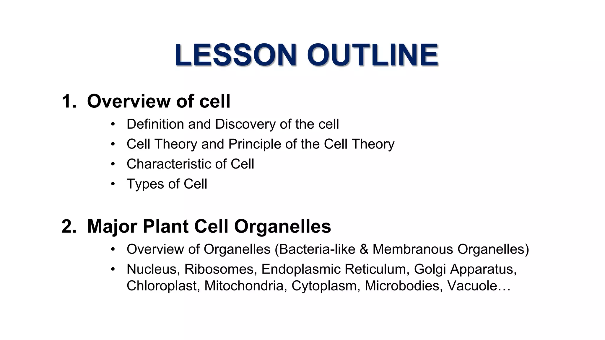 Cell Structure and Function | PPTX