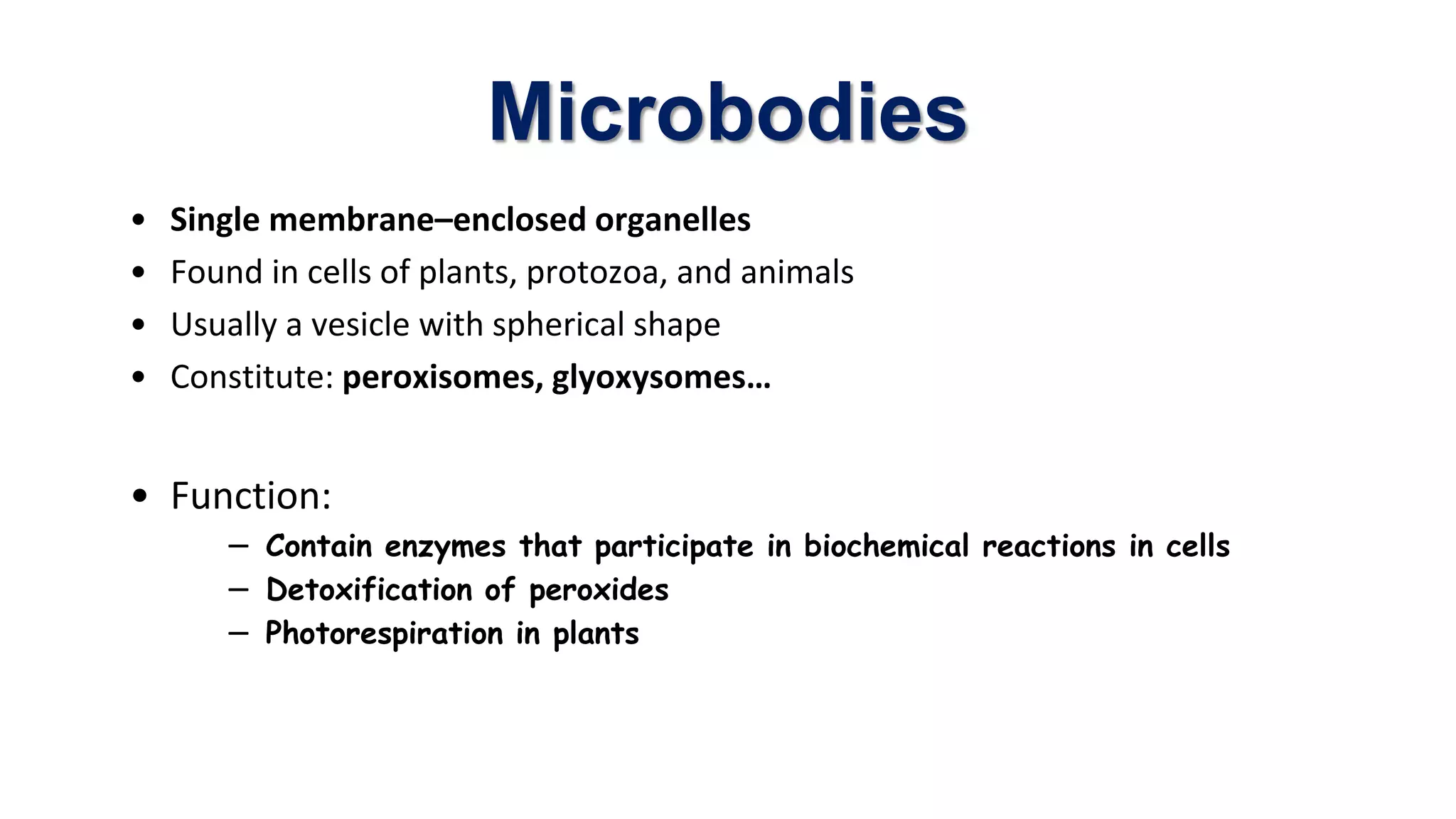 Cell Structure and Function | PPTX