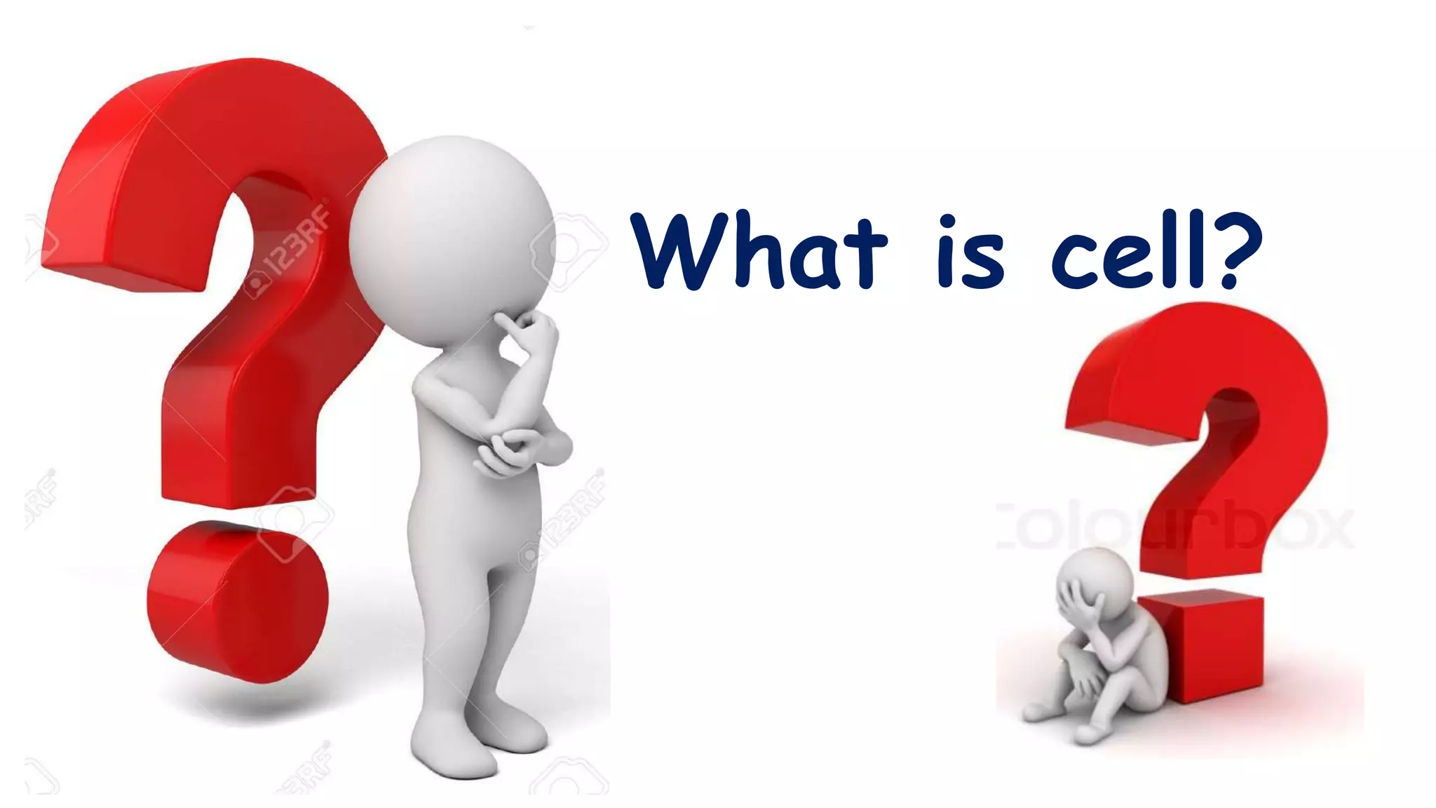 Cell Structure And Function Ppt