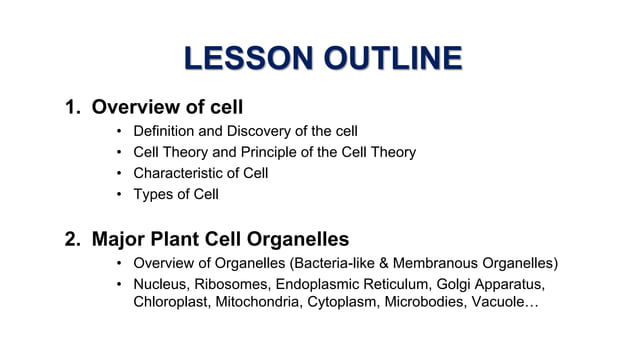Cell Structure and Function | PPTX