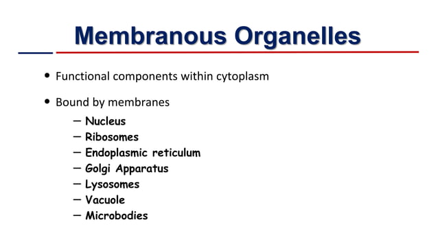 Cell Structure and Function | PPTX