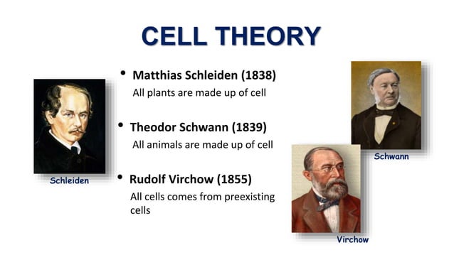 Cell Structure and Function | PPTX