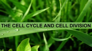 GEN BIOLOGY 1- CELLS QUARTER 1 WEEL 1.pptx