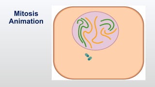 GEN BIOLOGY 1- CELLS QUARTER 1 WEEL 1.pptx