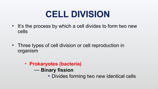 GEN BIOLOGY 1- CELLS QUARTER 1 WEEL 1.pptx