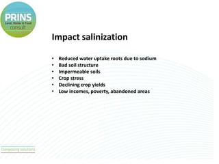 Salinization as a driver for change irrigated farming systems | PPT