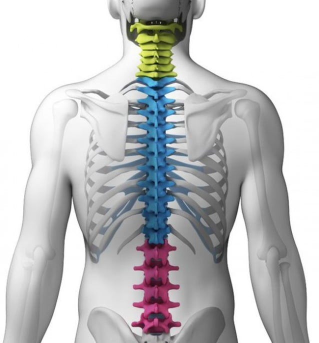 Spinal Fractures: The Three-Column Concept | PDF