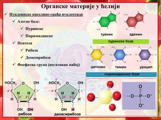2. Оrganske materije u celiji | PPT