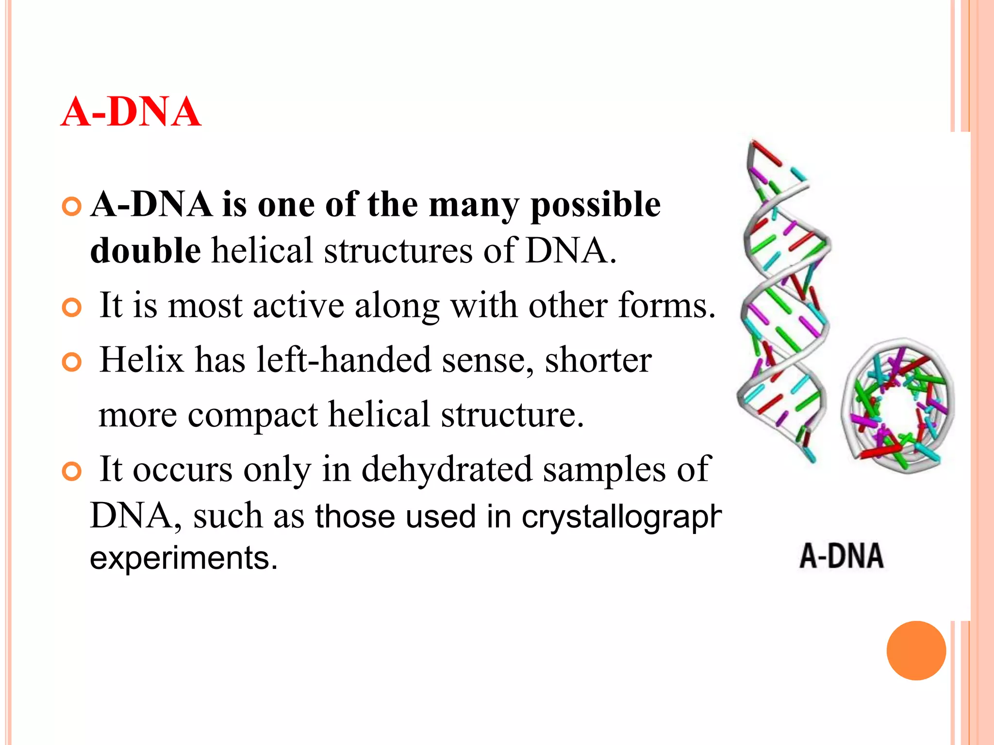DNA strcture and function | PPTX