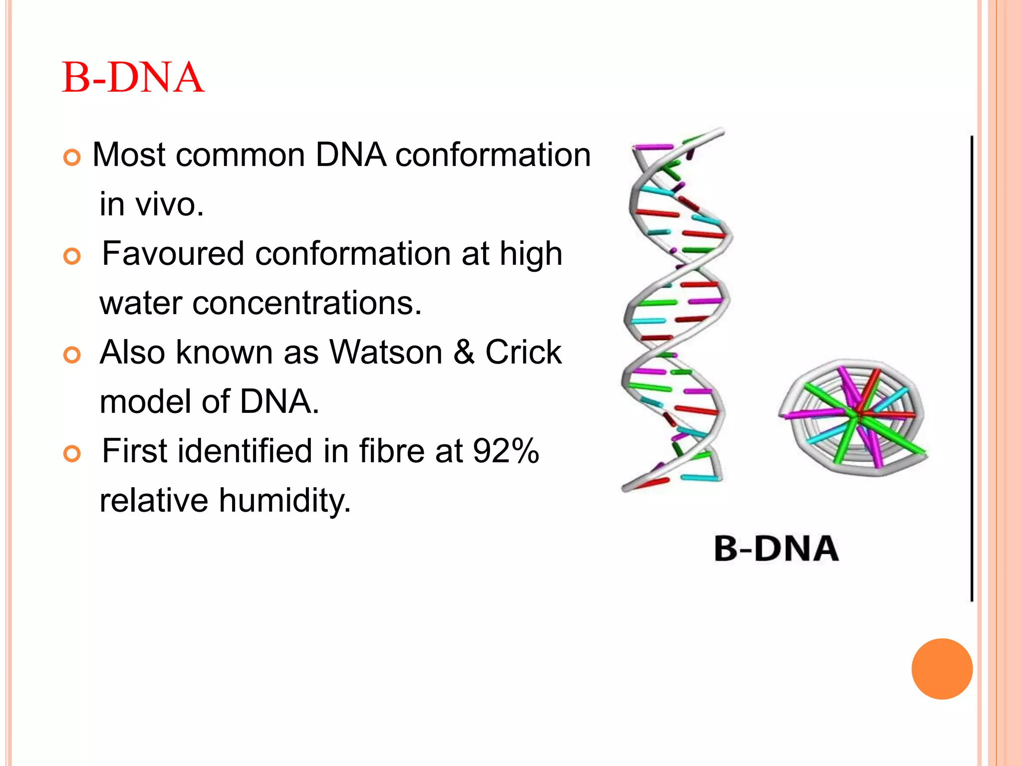 DNA strcture and function | PPTX