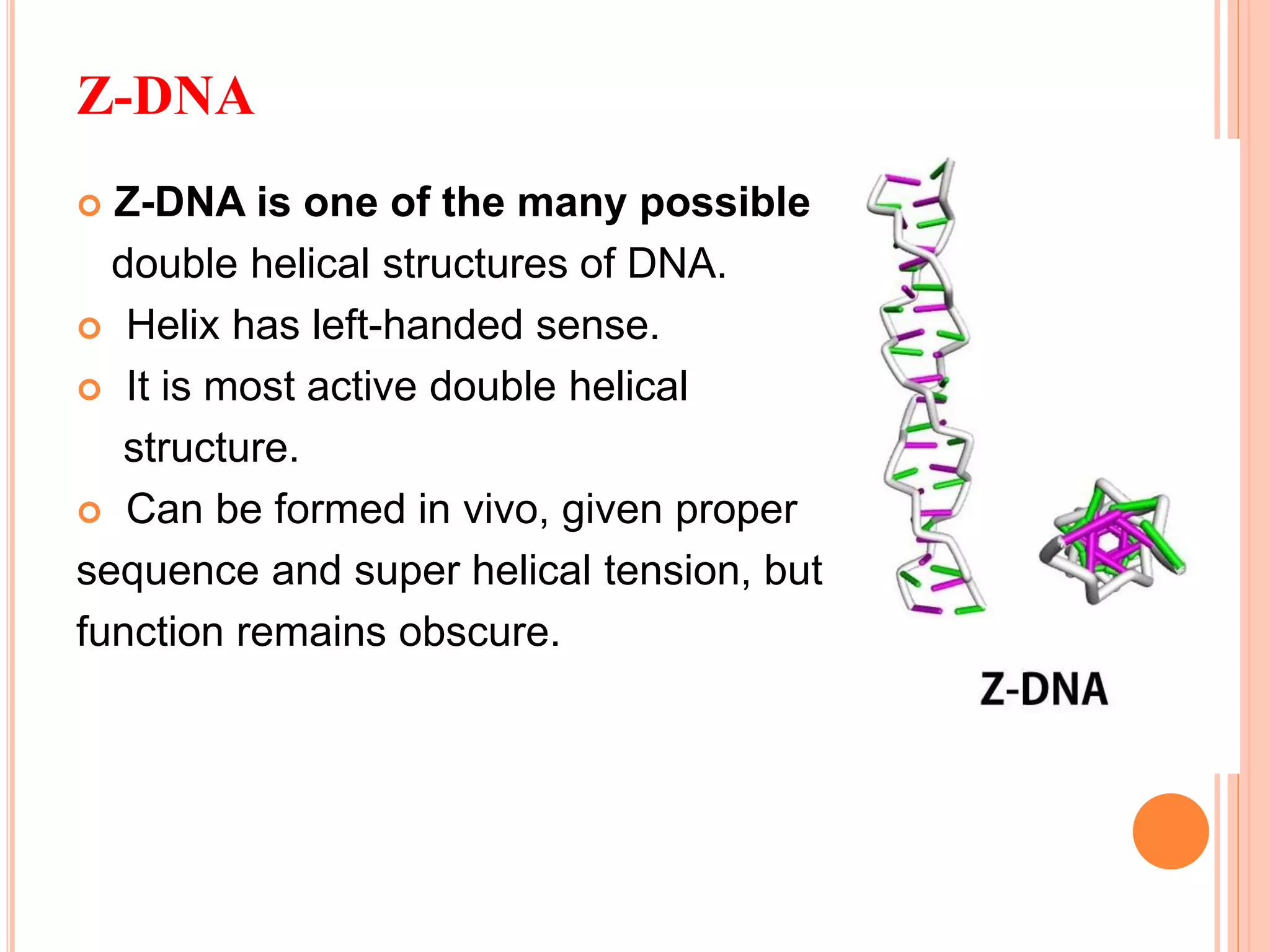 DNA strcture and function | PPTX