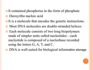 DNA strcture and function | PPTX
