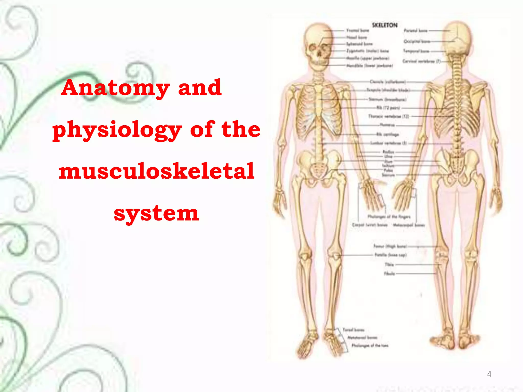 musculoskeletal Disorders | PPTX