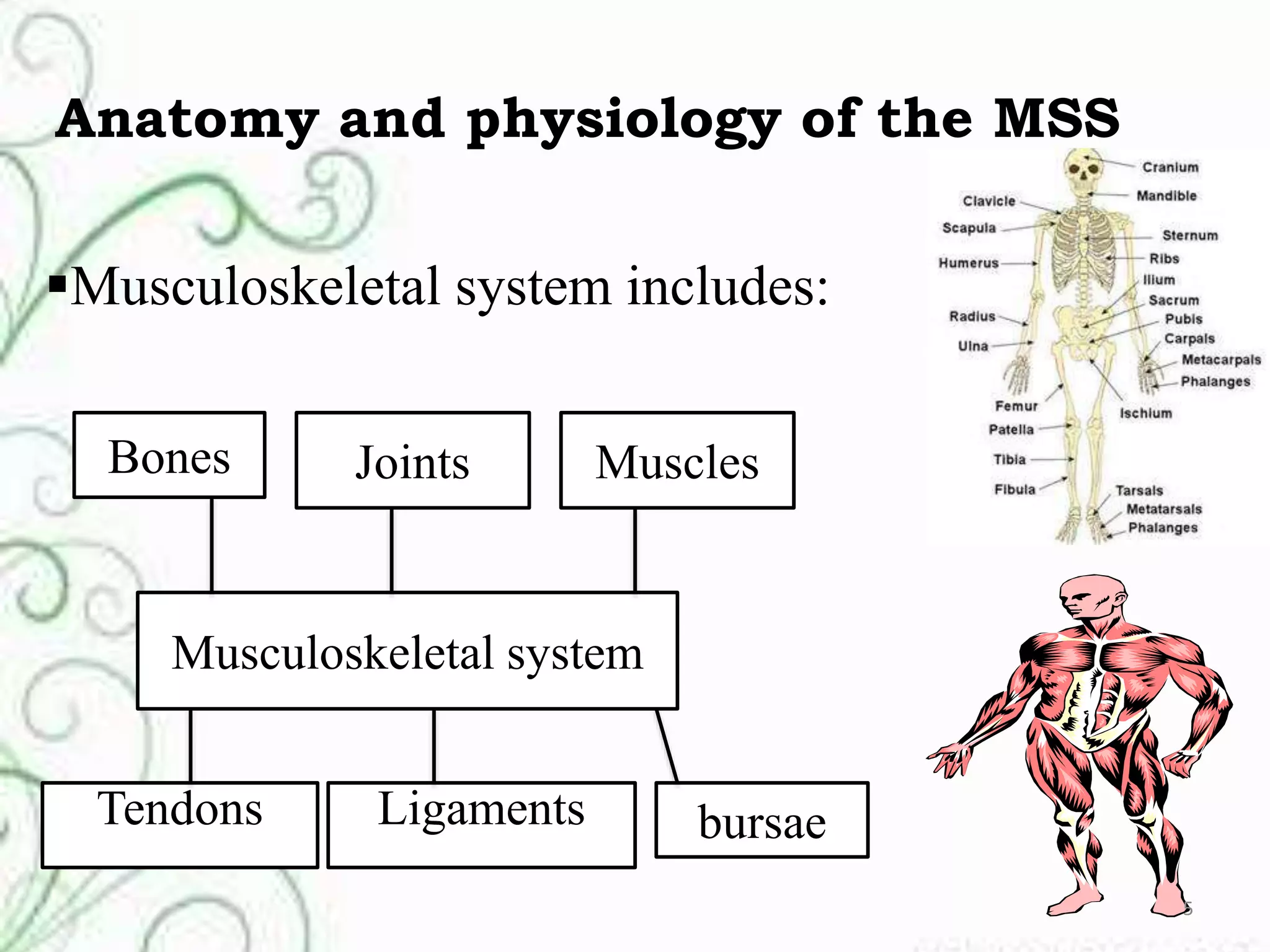 musculoskeletal Disorders | PPTX