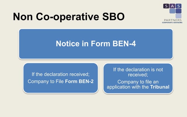 Significant Beneficial Ownership | PPTX