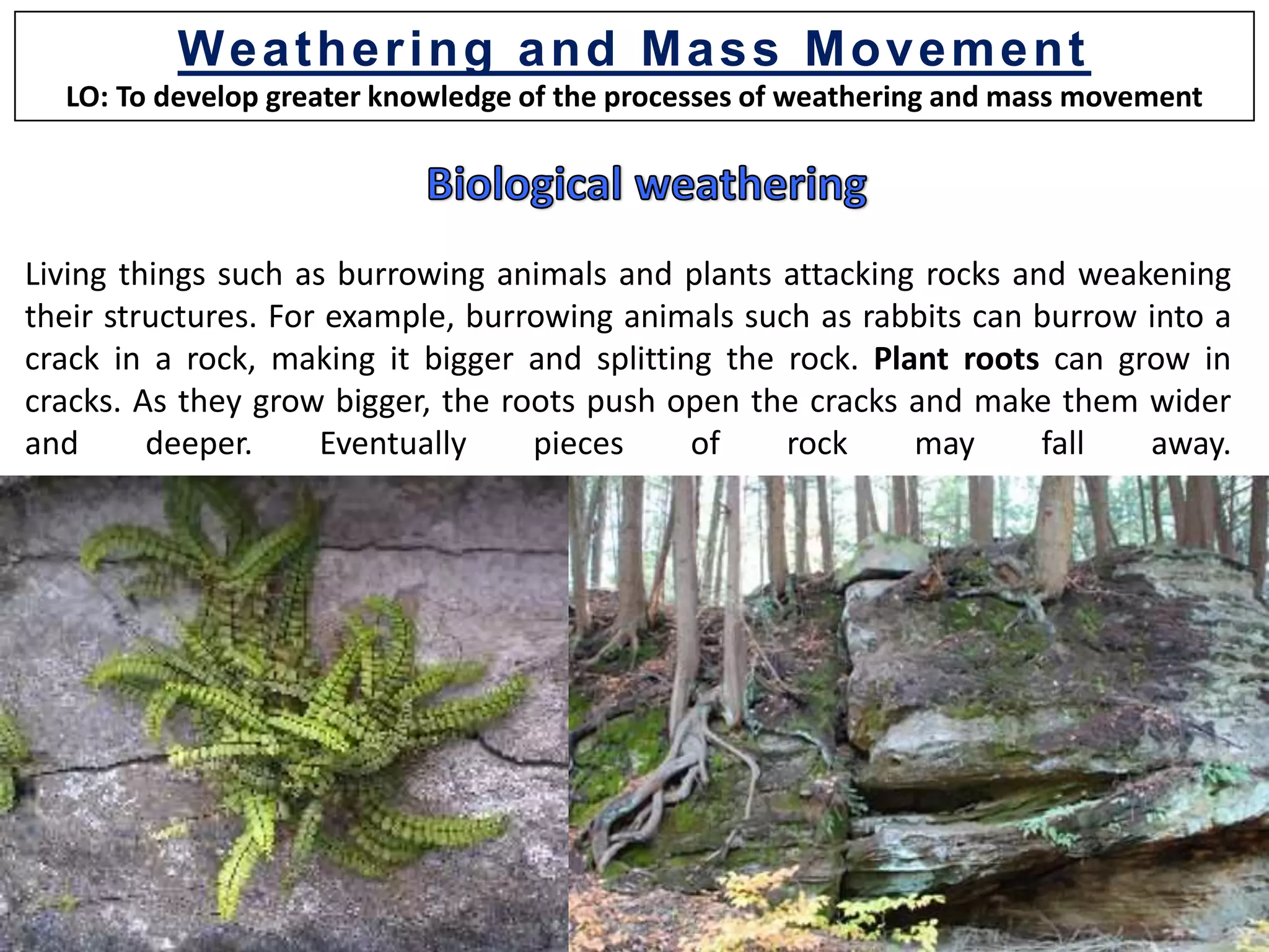 2. weathering and mass movement | PPTX | Geology | Science