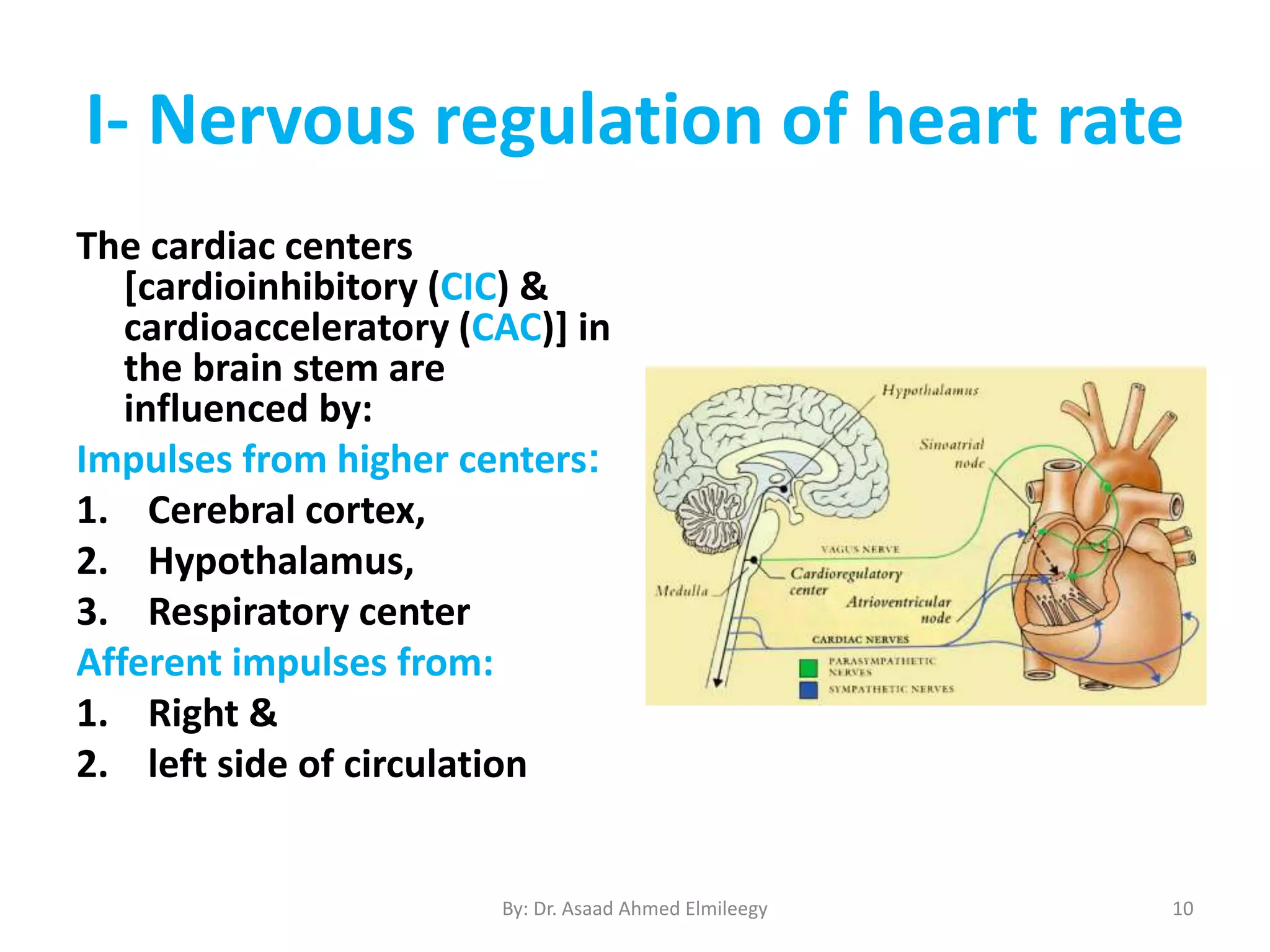 2. cardiac cycle and heart rate (dental) | PPTX