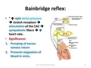 2. cardiac cycle and heart rate (dental) | PPTX