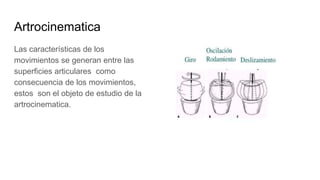 2.3 biomecanica | PPTX | Physics | Science